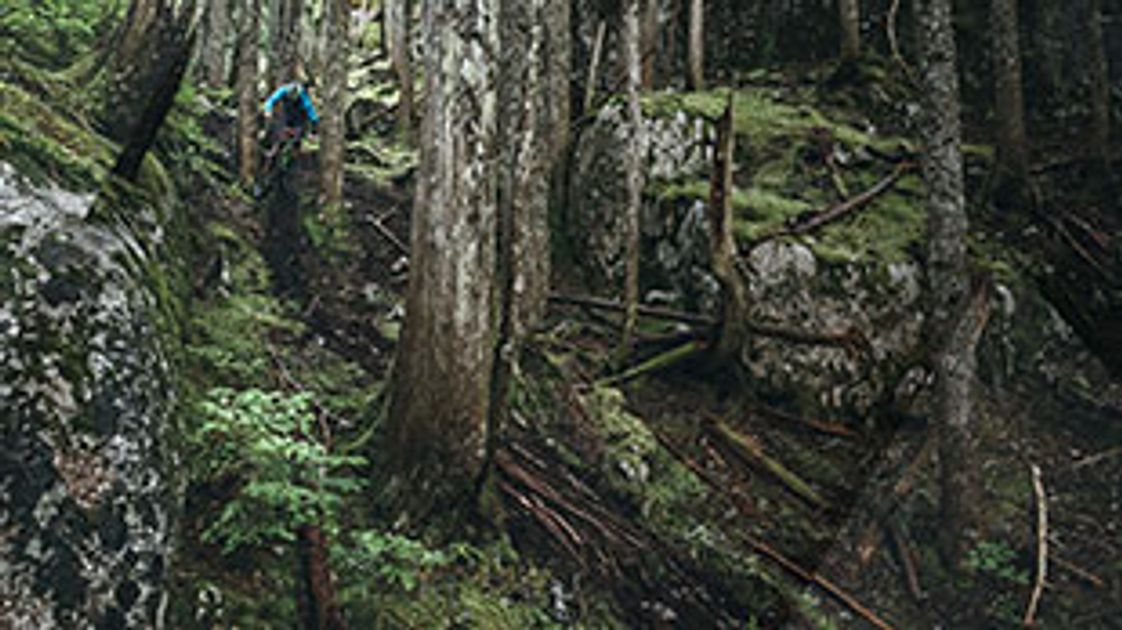 Chasing Trail | Scott