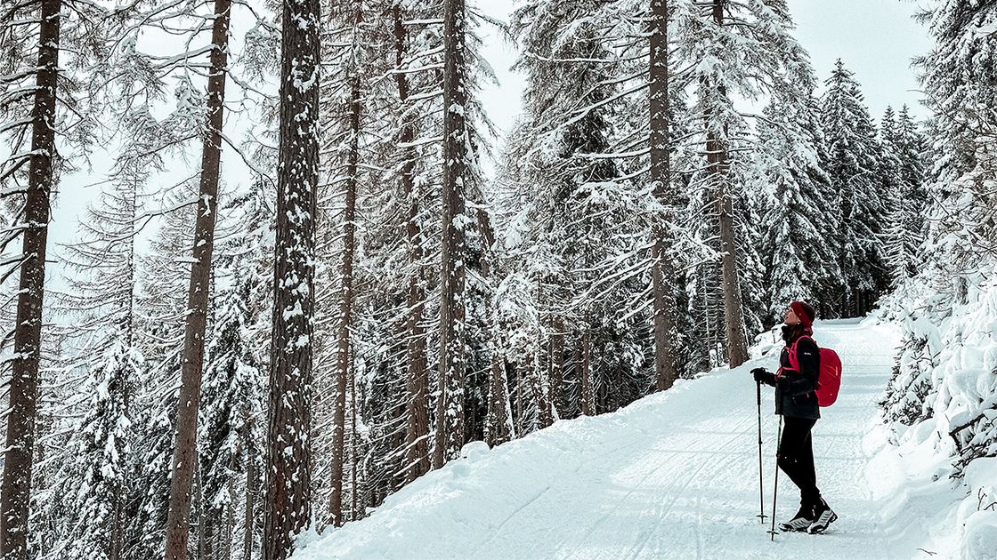 A winter hike through the Altafossa valley in Val Pusteria | Dolomite