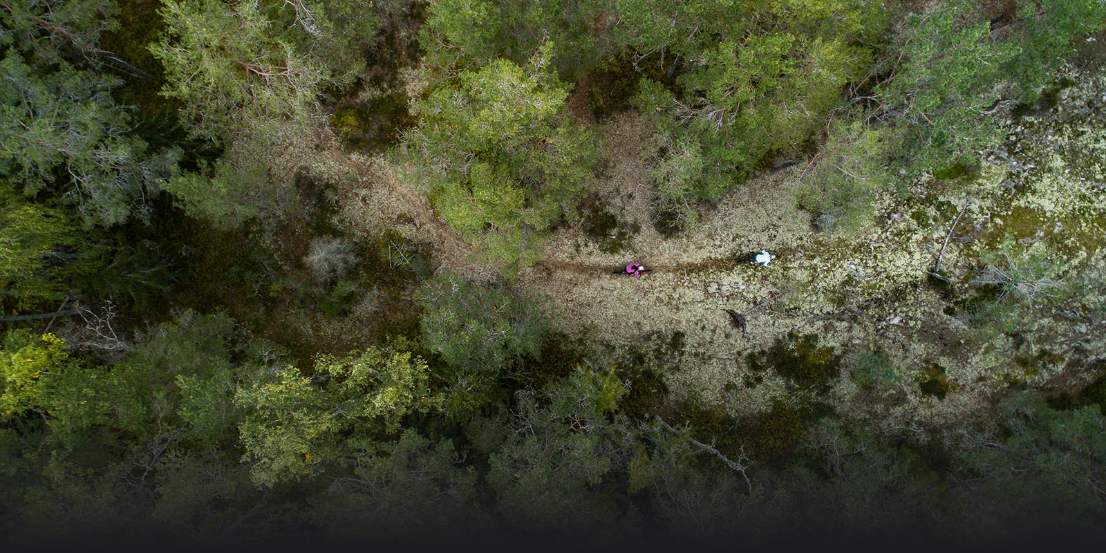 She's out there - Women's series | Scott