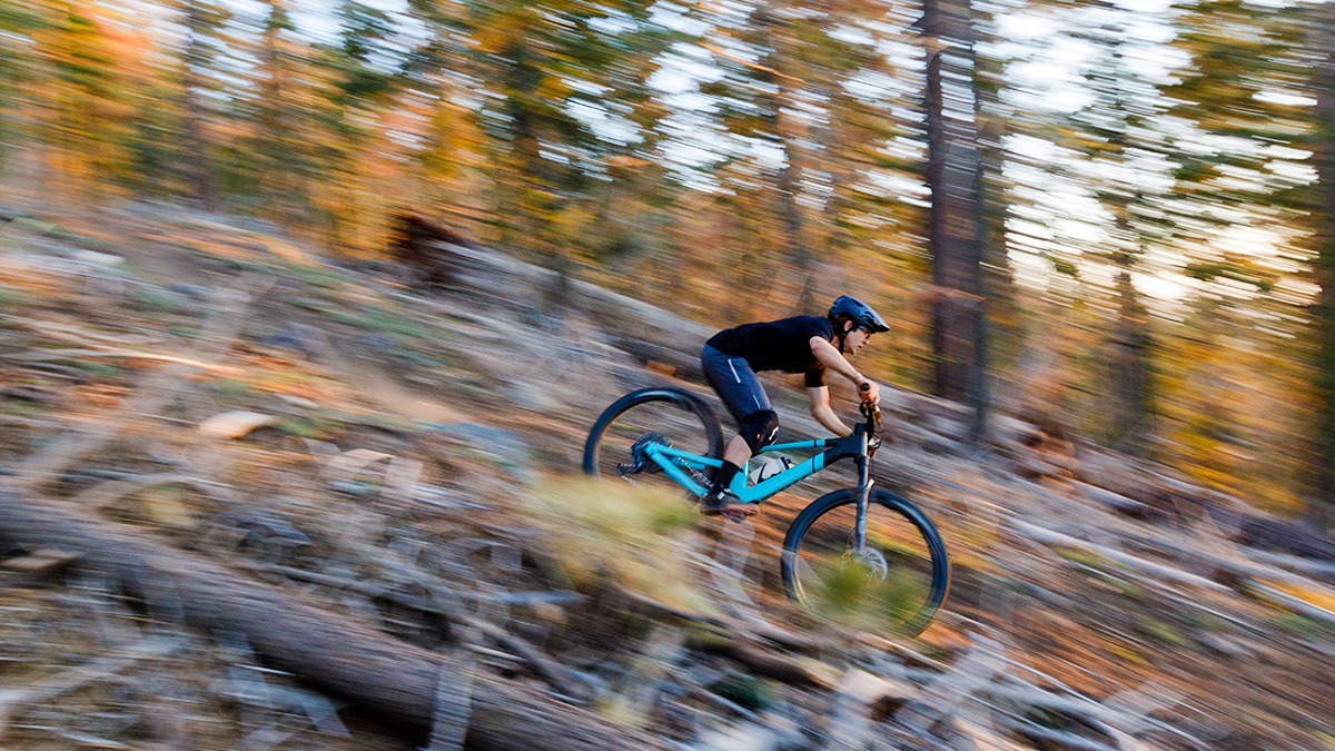 Tanner Stephens - Summer Fling | Scott