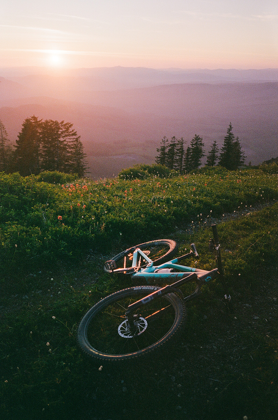 Tanner Stephens - Summer Fling | Scott